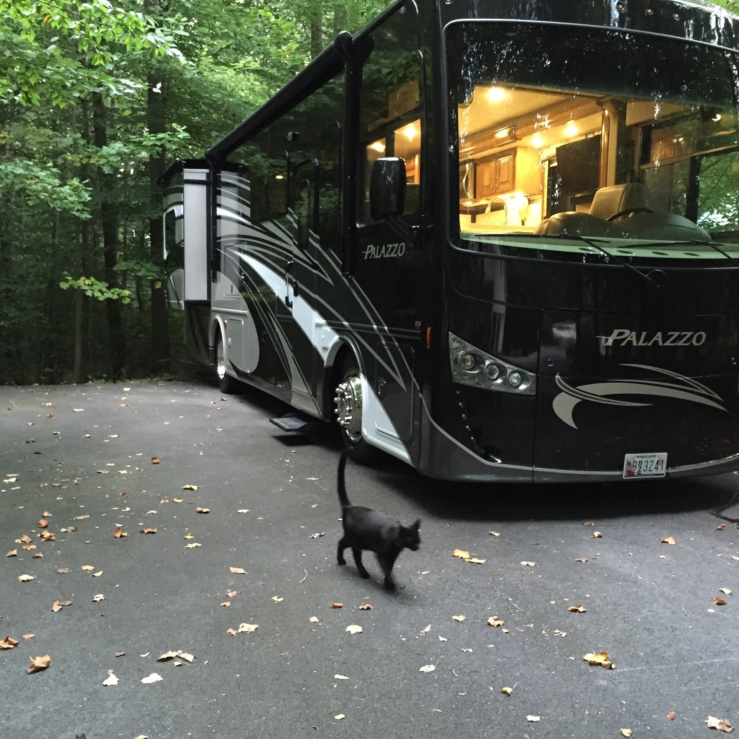 Motorhome RVs for Sale - RVs on Autotrader