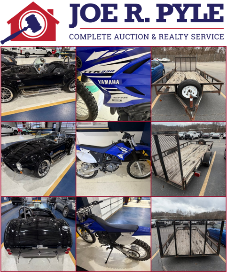 Online Bankruptcy Auction - Cobra Replica, Dirt Bike & Trailer - Saint ...